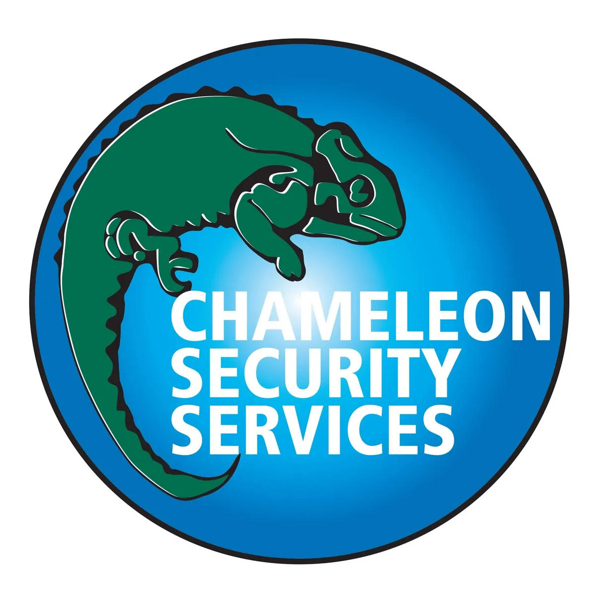 Chameleon Security Online Store